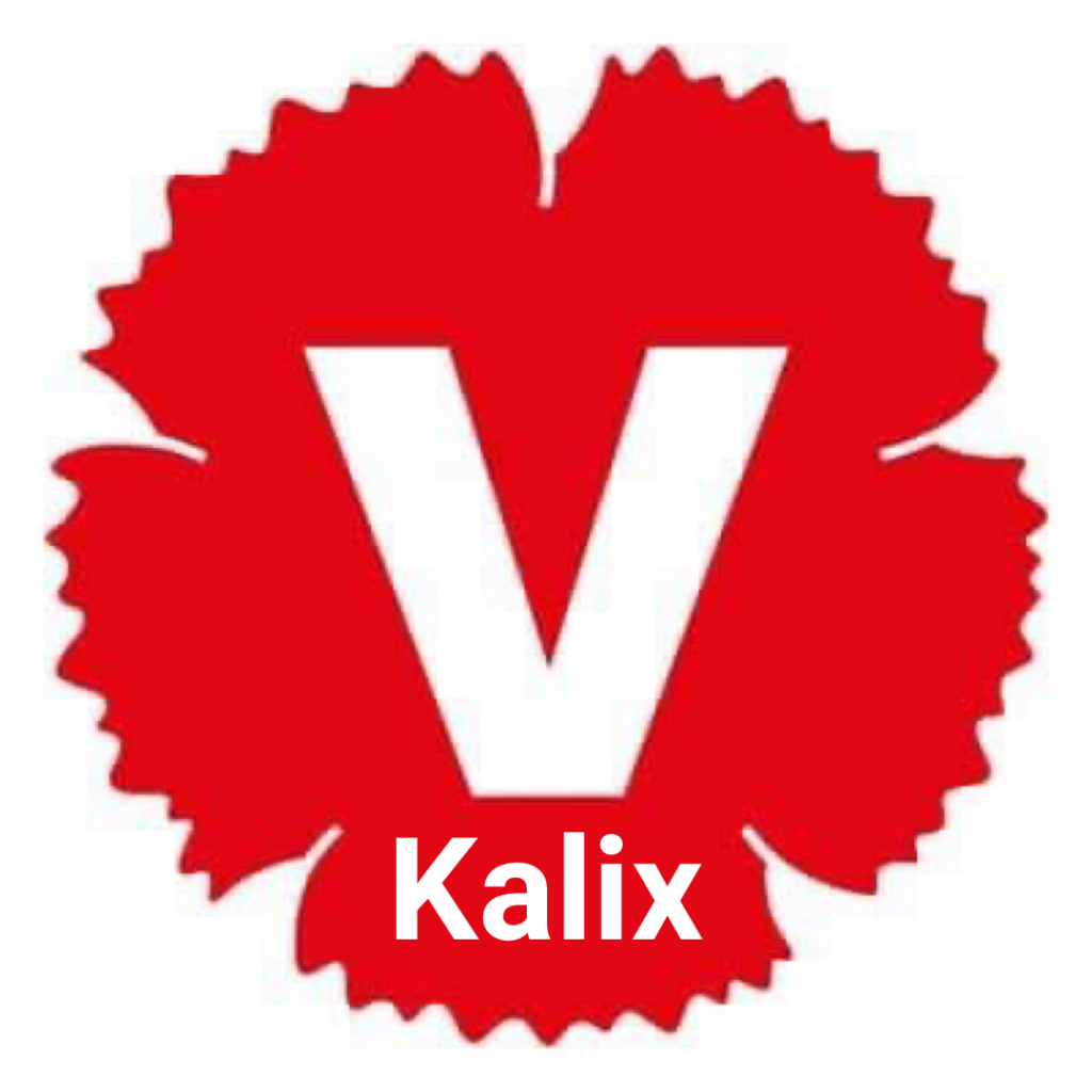Välkomna - Vänsterpartiet Kalix - Vänsterpartiet Kalix